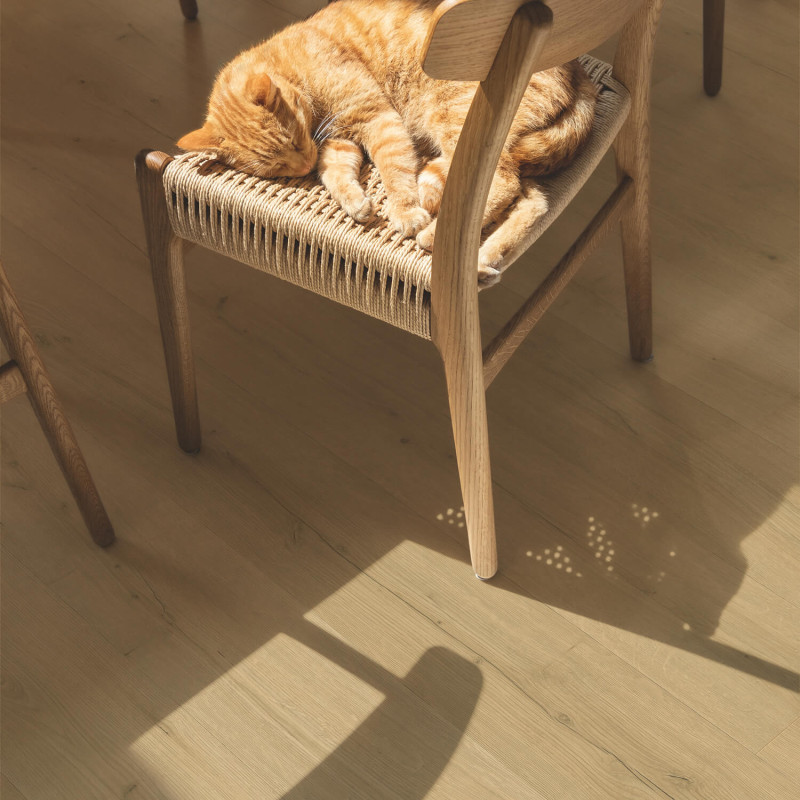Lame PVC clipsable - Chêne beige brossé - AVMPU40319 - Bloom - Alpha ...